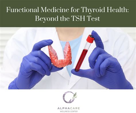 Functional Medicine For Thyroid Health Beyond The Tsh Test Alpha