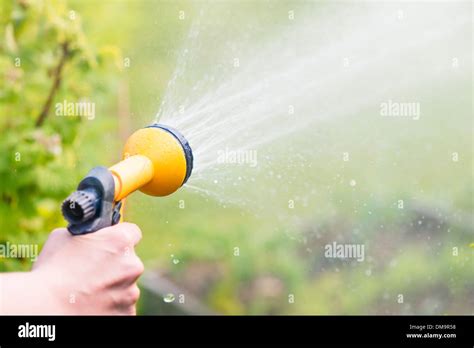 Lifestyle Summer Scene Watering Garden Plants With Sprinkler Stock Photo Alamy