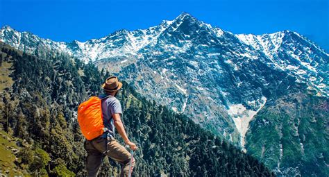 Best Data Sources For Data Scientists Beyond Kaggle By Python Programming Medium