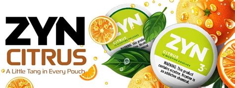 Zyn Citrus Flavor What Its Like Using It Every Day