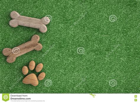 Косточки собаки на предпосылке зеленой травы Стоковое Изображение изображение насчитывающей