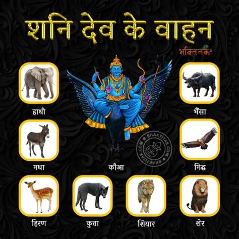 जानिए शनिदेव के 9 वाहन और उनका आपके जीवन पर उसका प्रभाव Shani Dev Ki