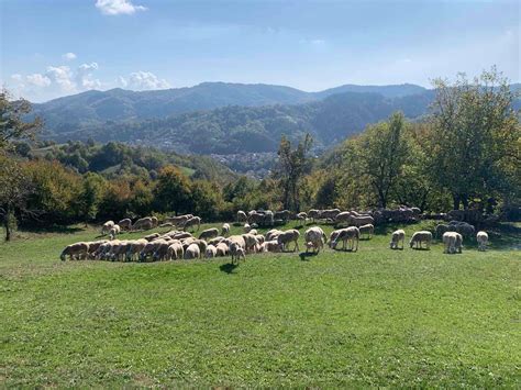 Мирослав Янчев ОТВОРЕНО ПИСМО ОТНОСНО НЕЗАКОННОТО СТРОИТЕЛСТВО В СЕЛО ДОЛЕН ОБЩИНА ЗЛАТОГРАД