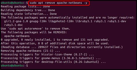 how to install netbeans on ubuntu 24 04 using gui and terminal