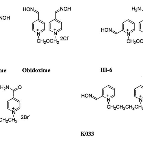 Structure Of Currently Used Oximes And Their New Analogues Download Scientific Diagram