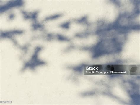 콘크리트 벽 배경 열대 식물 잎 모형을 위한 자연 이완 개념 제품 또는 광고와 오버레이하기 위한 장면 평평한 누워의 그림자 효과에 그림자 잎의 3d 렌더링 3차원 형태에