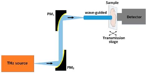 Figure 6 From Continuous Wave Thz Imaging For Biomedical Samples Semantic Scholar