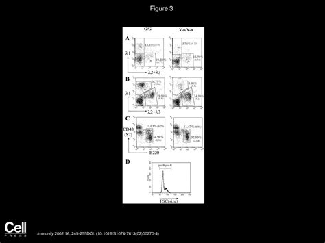 A Point Mutation In The Constant Region Of Ig Lambda1 Prevents Normal B