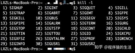 php process learning