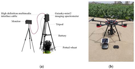 Canopy Hyperspectral Imagery Acquisition A Proximally Sensed Download Scientific Diagram