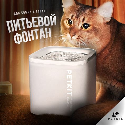Питьевой фонтан PETKIT Eversweet Solo SE купить на OZON по низкой цене ...