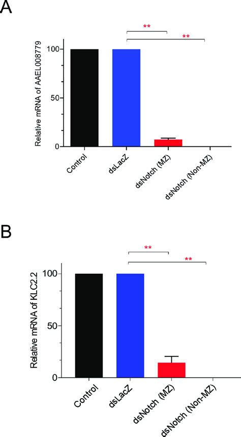 Quantitative Pcr Analysis Of The Expression Of A Sperm Specific And An