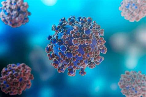 Understanding Sex Based Immune Responses The Role Of A Critical T Cell