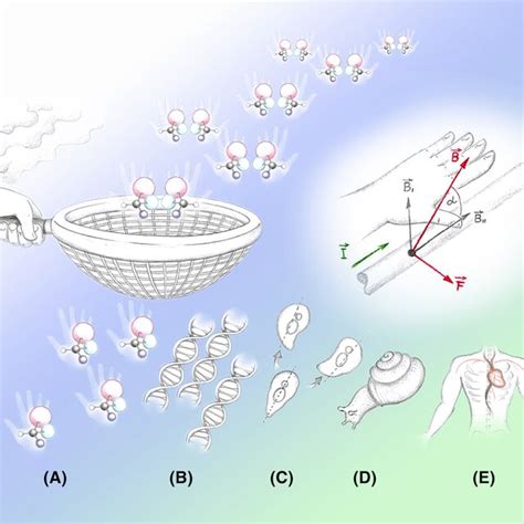 Chirality Selection For Life On The Bottom A Homochiral Molecules