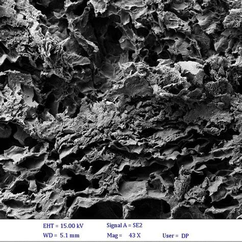Sem Image Of Porous Silicon Layer With Concentration 1 4 Hf To