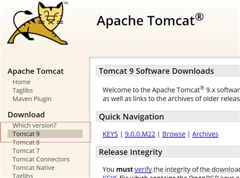 关于tomcat启动后 localhost 8080 打不开页面的解决方案 tomcat启动后无法访问到8080页面 csdn博客
