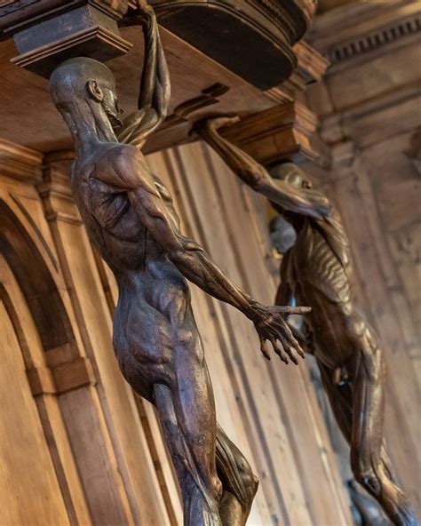 Death Helps Life In The Anatomical Theatre Conceptual Fine Arts