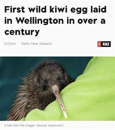 Were Back Baby R Mademesmile