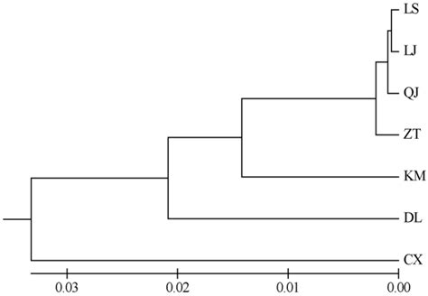 Dendrogram Generated By UPGMA Of Seven Populations In P Yunnanensis Download Scientific Diagram