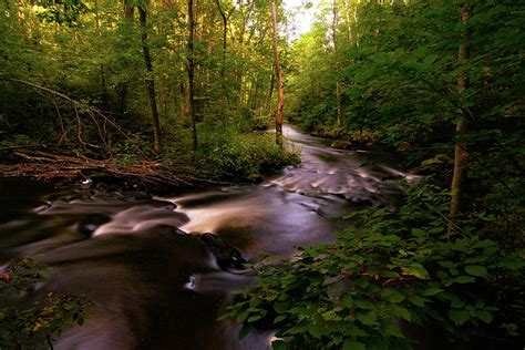 Lazy River Photograph By Neal Nealis Fine Art America