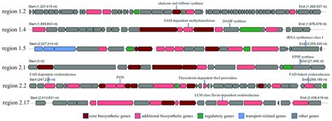 Partial Biosynthetic Gene Clusters From Scsio 52902 Download Scientific Diagram