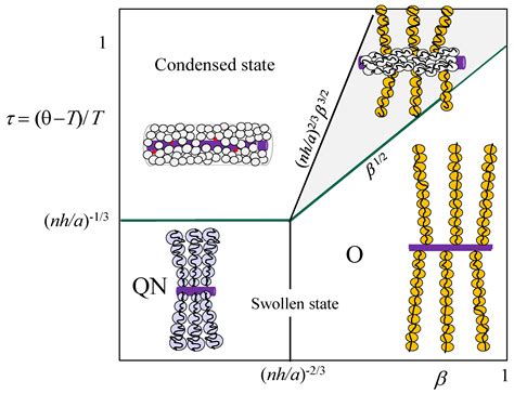 Polyelectrolyte Cylindrical Brushes In Hairy Gels