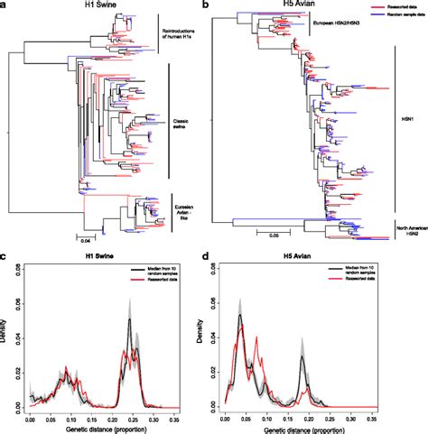 Maximum Likelihood Phylogenies And Distributions Of Pairwise Genetic