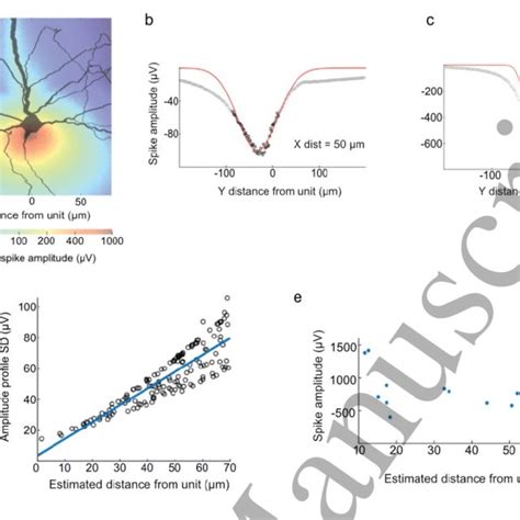 Estimation Of Distance Between The Electrode And Recorded Neurons A Download Scientific