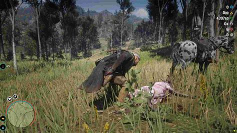 Redm Server Redm Vorp Server