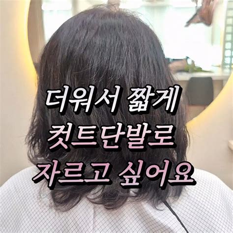 어중간한 머리 세련되고 예쁜 컷트단발 스타일로 변신 시켜드렸어요 컷트단발스타일 컷트머리스타일 볼륨컷트머리 볼륨있는머리 볼률전문태진쌤 뿌리볼륨펌 뿌리볼륨파마