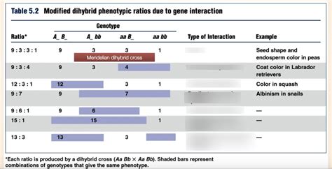 Chapter 5 Diagram Quizlet