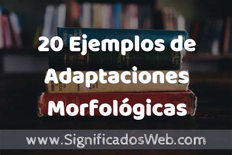 20 Ejemplos De Adaptaciones Morfológicas ️ Tipos Definición Y Análisis