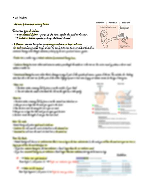Solution Physiology Weber And Rinne Test Summary Easy To
