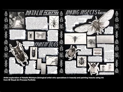 Uni Application Portfolio 15 Images Behance