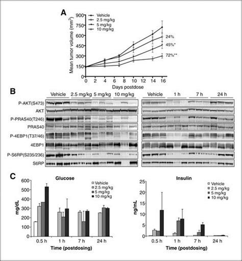 Pf 04691502 A Potent And Selective Oral Inhibitor Of Pi3k And Mtor