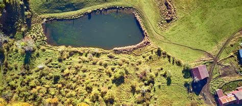 Quick Guide To Farm Pond Maintenance Pondmedics