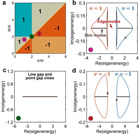 The Phases Of The Point Gap Topology And Band Structures For Periodic