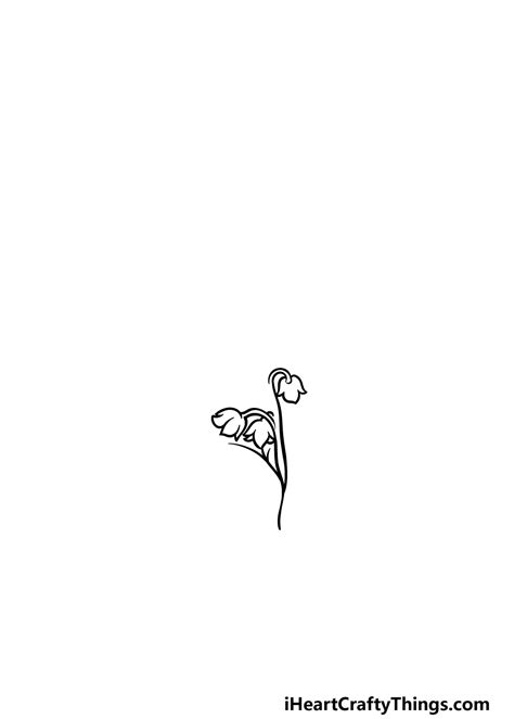 Lily Of The Valley Drawing