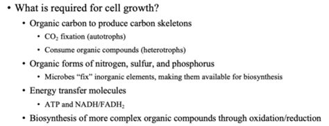 Micro Ch 7 Flashcards Quizlet Micro Ch 7 Flashcards Quizlet