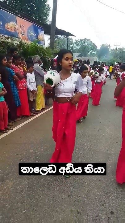 තාලෙට අඩිය තියා Shorts Shortsvideo Shorts Video Shorts Video Youtube