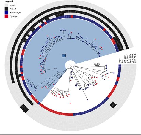 Figure 1 From Fluoroquinolone Resistance Does Not Facilitate Phage Φ13 Integration Or Excision