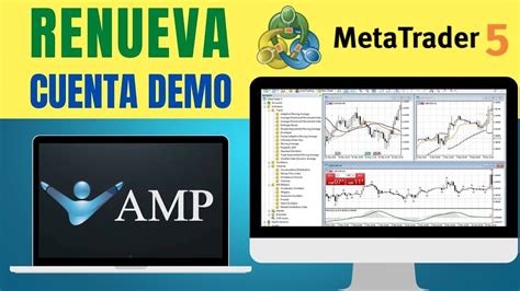 📢cómo Renovar Cuenta Demo En El Broker Amp En Metatrader 5 Youtube