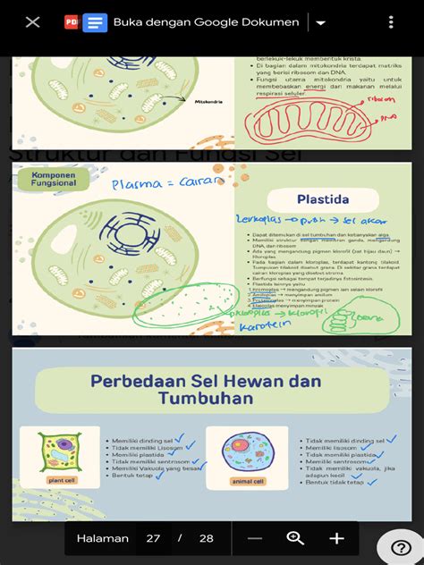Pengamatan Struktur Sel Komponen Struktural Dan Fungsional Sel
