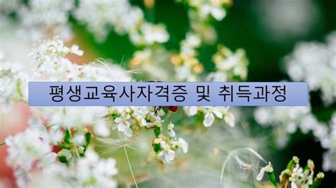 평생교육사 자격증 하는 일과 취득과정 알아보기 네이버 블로그