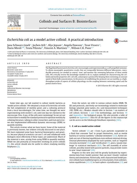 E Coli As A Model Active Colloid Pdf Escherichia Coli Chemotaxis