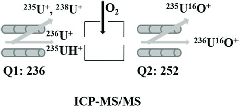 Schematic Of Icp Ms Ms As Related To The Ion Molecule Reactions For Download Scientific Diagram