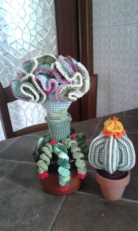 Crochet Cactus And Succulent Crafts