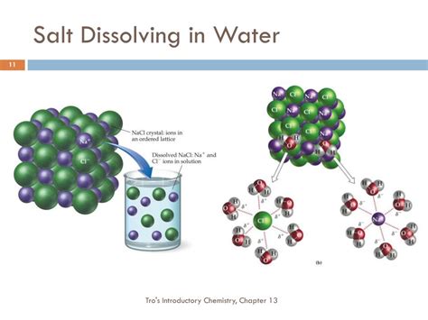 Draw A Diagram Of Table Salt Nacl Dissolved In Water Draw A