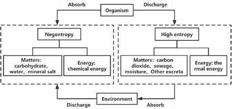 Energy Transformation Process In The Ecological Entropy System