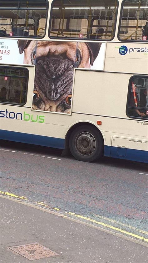 Im Assuming The Person Who Did This Is Blind Ronejob